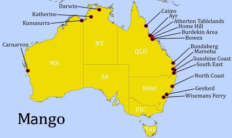Mango - Backpacker-Footsteps