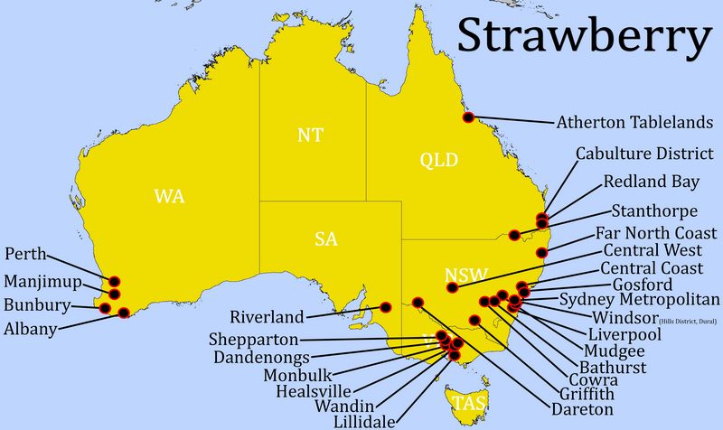 Strawberry - Backpacker-Footsteps