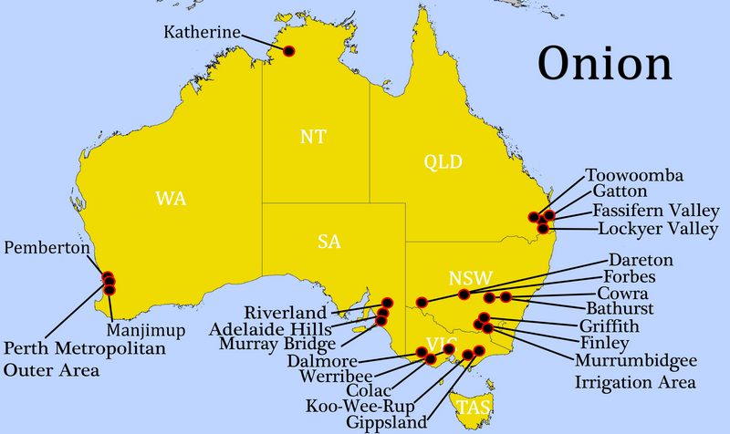 Onion - Backpacker-Footsteps