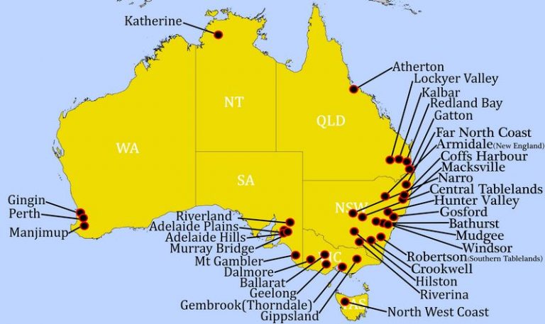 Potatoes - Backpacker-Footsteps